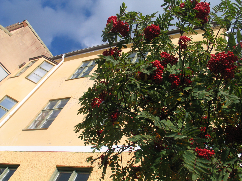 Kontakta oss - Linden Fastighets AB